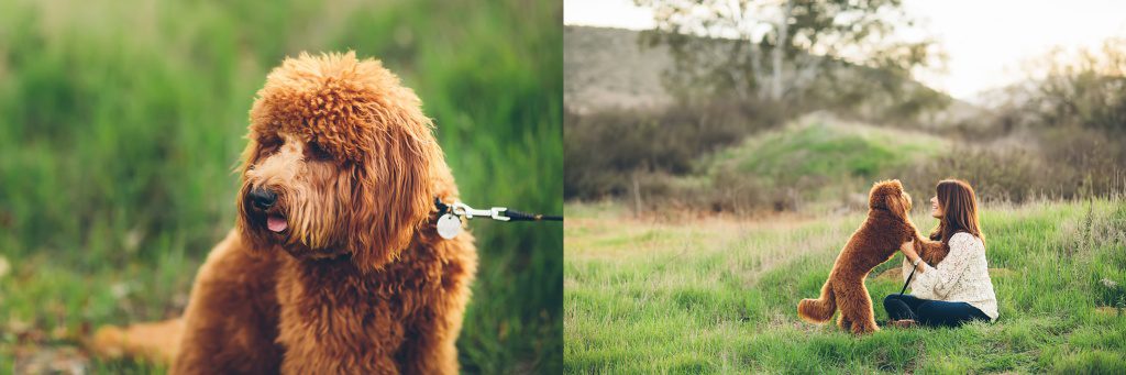 Brendan + Mackenzie - san diego photographer - Tarah Sweeney Photography